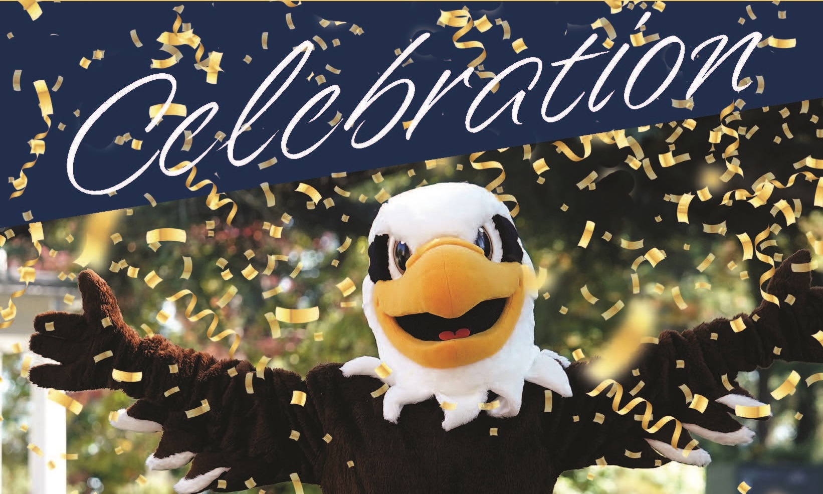 Destination UMW - Admissions - University of Mary Washington