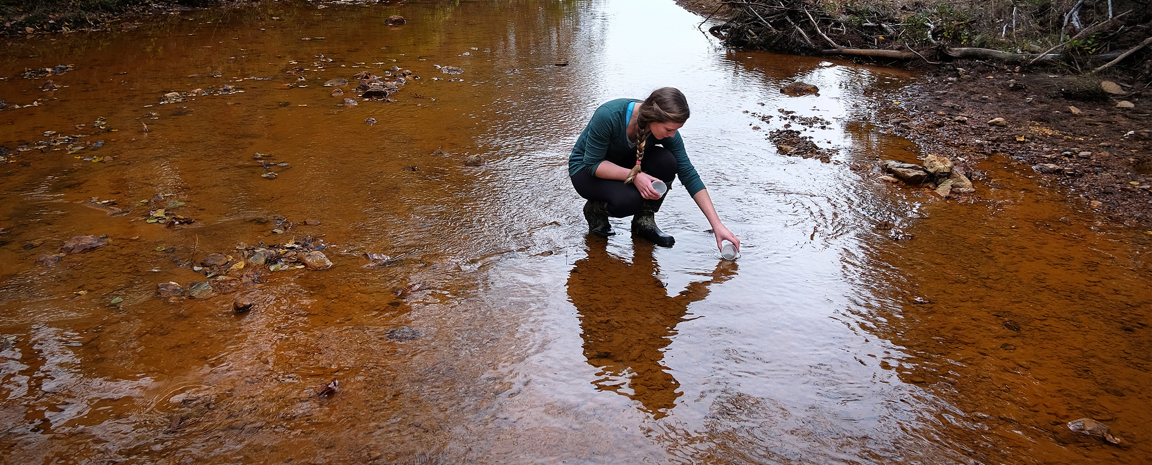 Digging for Answers - Great Minds