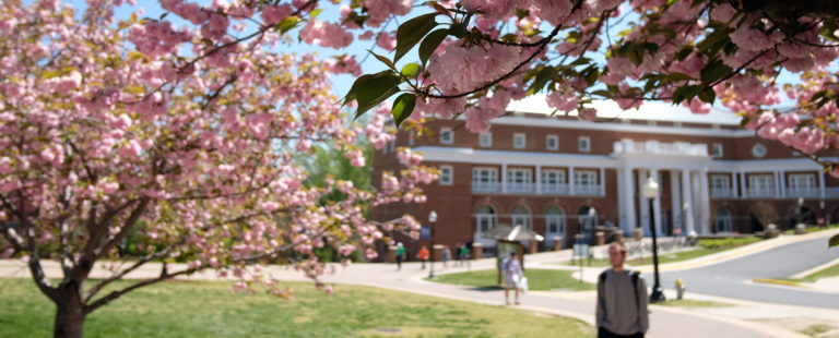 UMW Remains Firmly Planted as "Tree Campus USA" - News