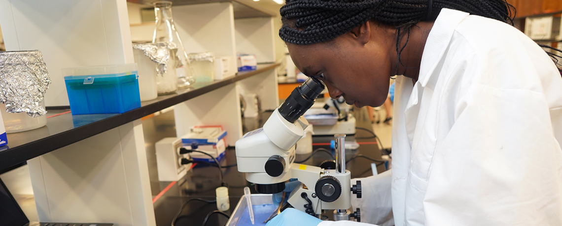 Program's Financial Formula Boosts Young Scientists - News