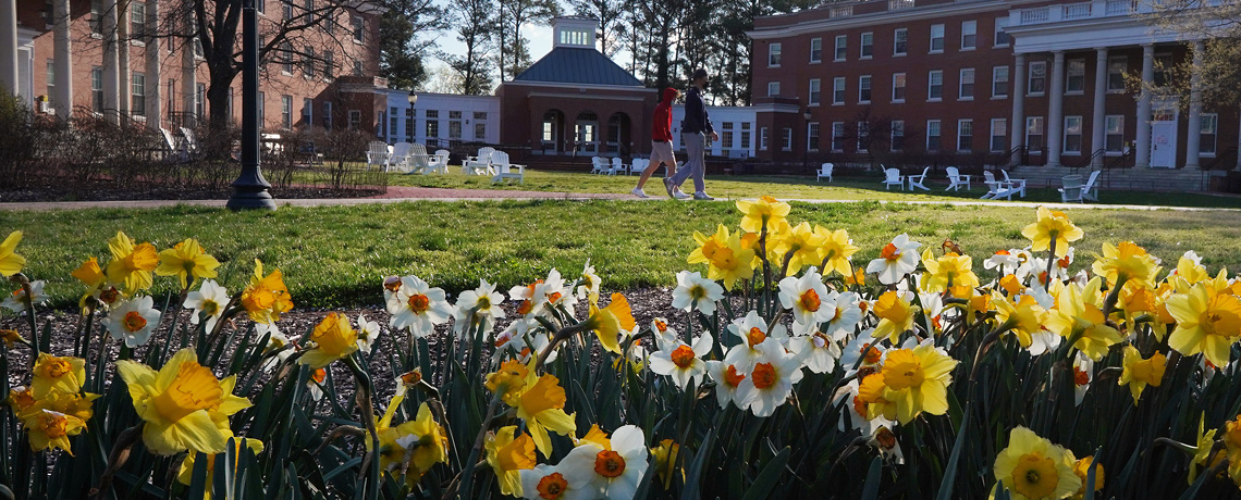 UMW’s Commitment to Going Green Wins Gold - News