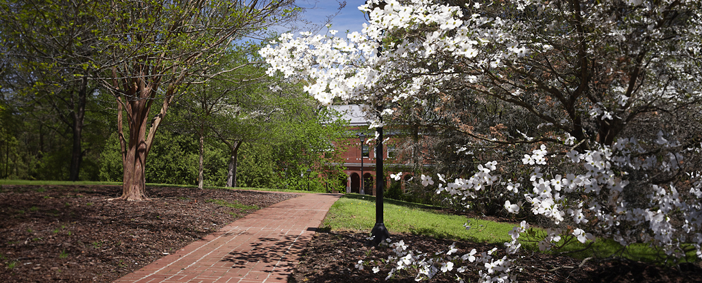 News - University of Mary Washington