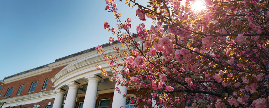 UMW Grads Advance Careers and Education Following Commencement - News