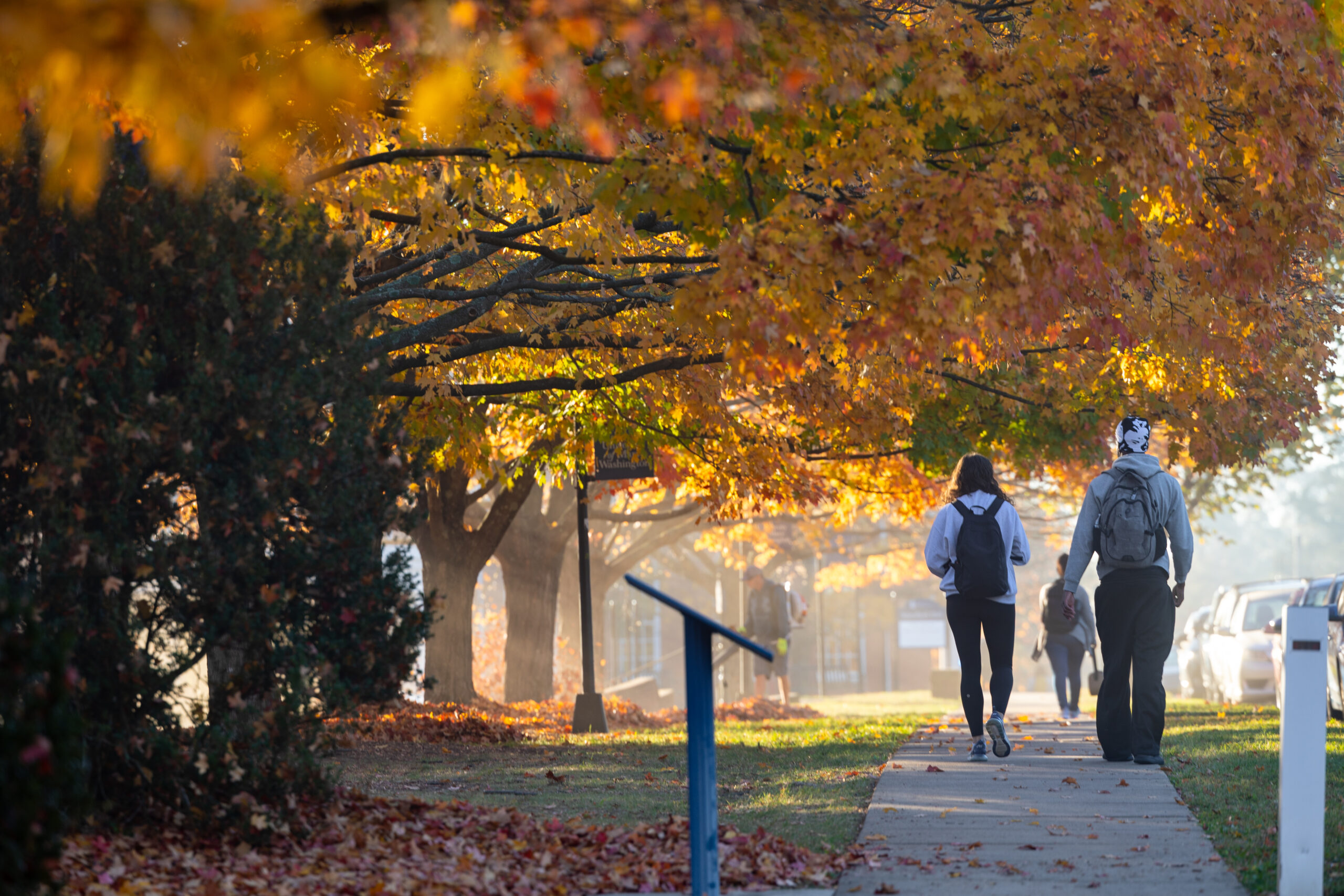Major to Micro: What’s New at UMW for the 2025-26 Academic Year - News